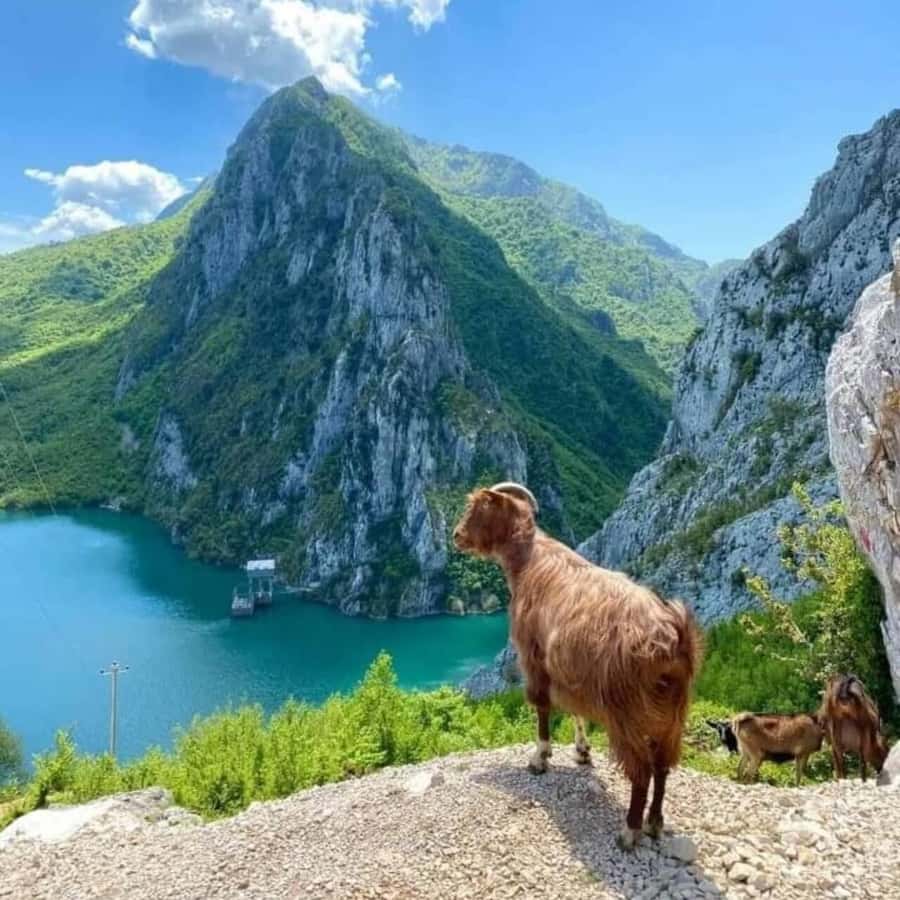 From Tirana To Bovilla Lake & Gamti Mountain SUNSET | GetYourGuide