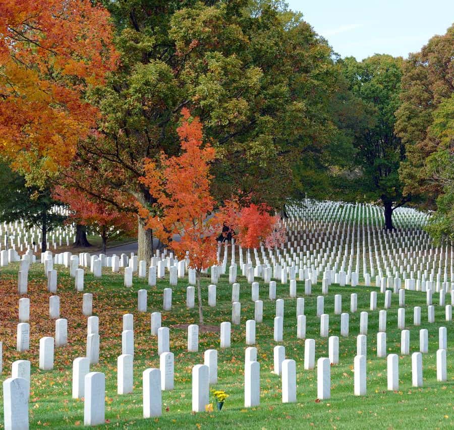 Arlington Cemetery: Heroes and History Tour with Local Guide | GetYourGuide