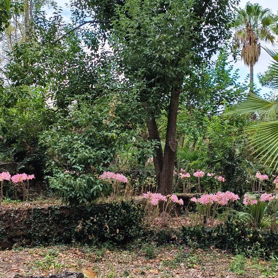 Ätna & Meer: Pic Nic in Batia | GetYourGuide