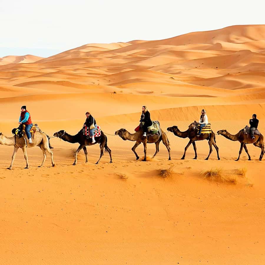 Marakeş'ten: 3 günlük Merzouga ve Sahra Çölü Turu | GetYourGuide