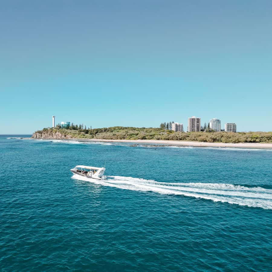 Mooloolaba: Adventure Rafting Turtle Tour | GetYourGuide