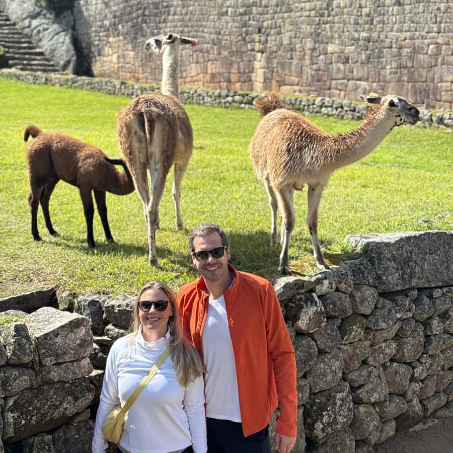 Machu Picchu: biglietto + visita guidata con guida esperta locale ...