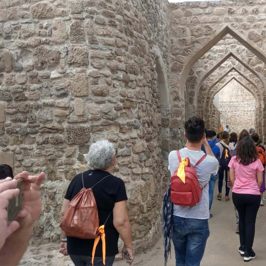 $78 Bahrain cruise ship excursion shared trip- group rate | GetYourGuide