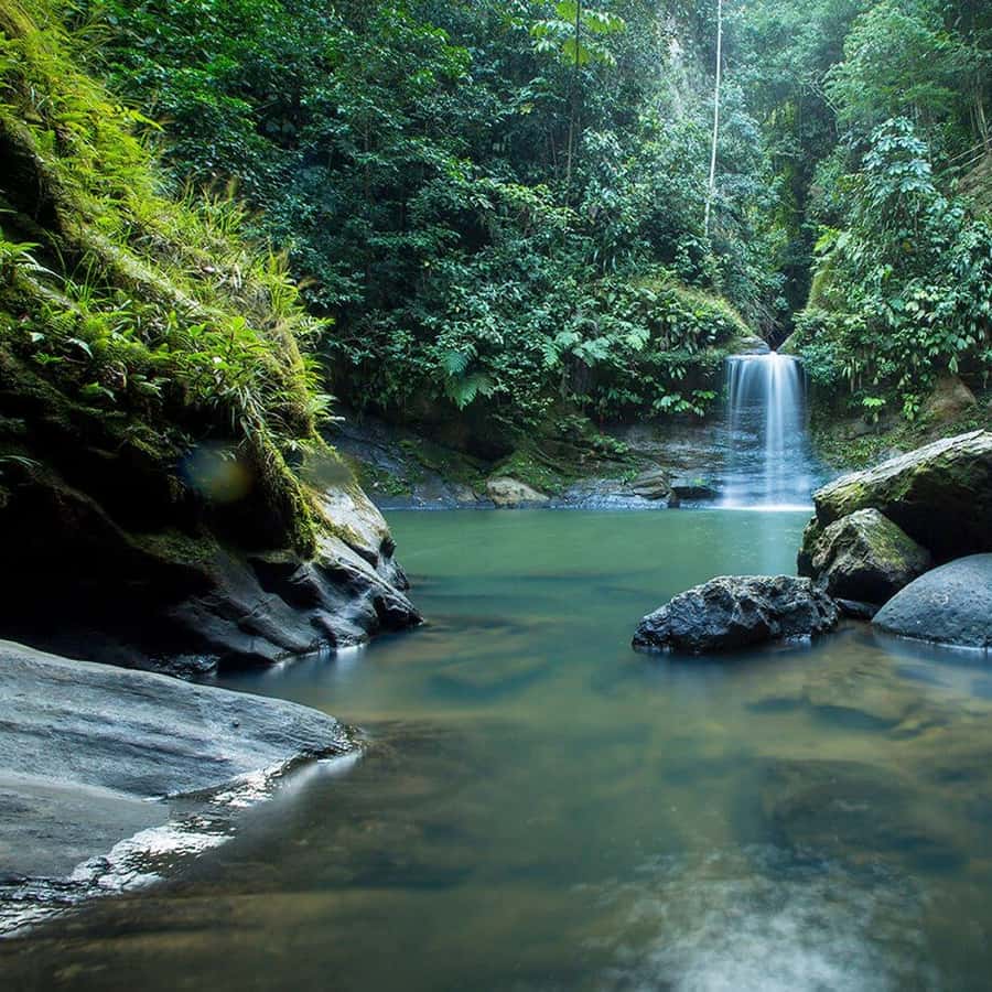 Tarapoto: Laguna Azul - Blue Lagoon | GetYourGuide