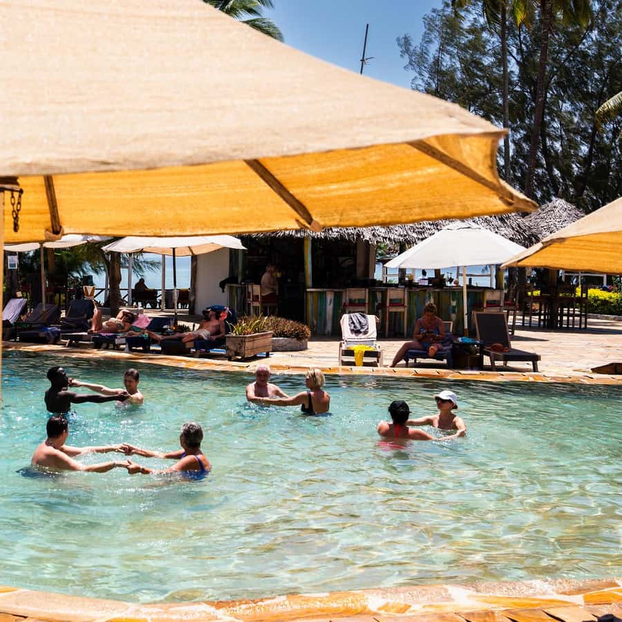 9 Dagen Zanzibar Strand Vakantie Tour en Selous Safari reis | GetYourGuide