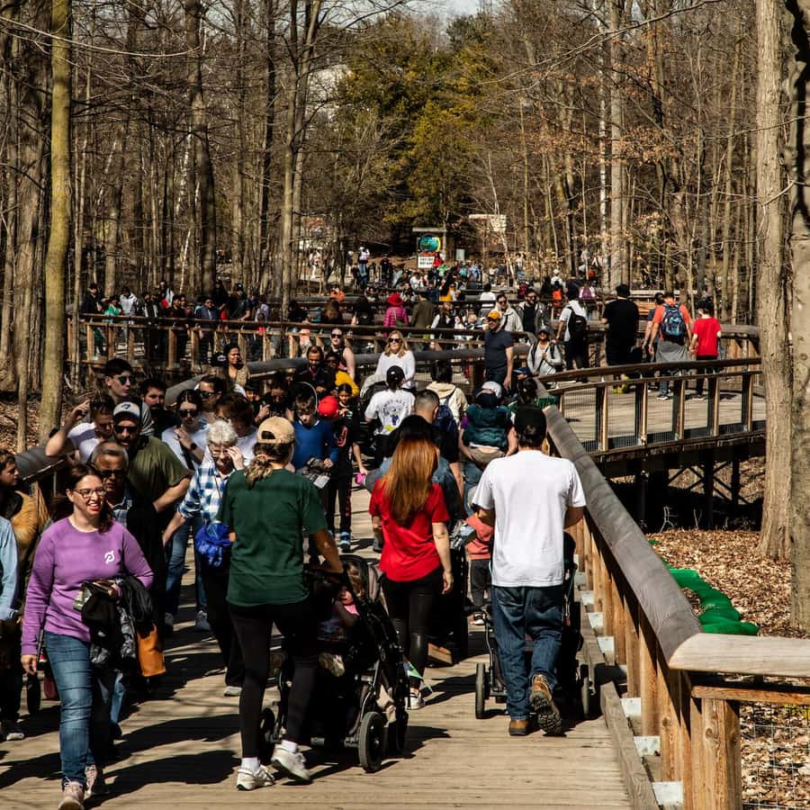 Toronto: Toronto Zoo Entry Ticket | GetYourGuide