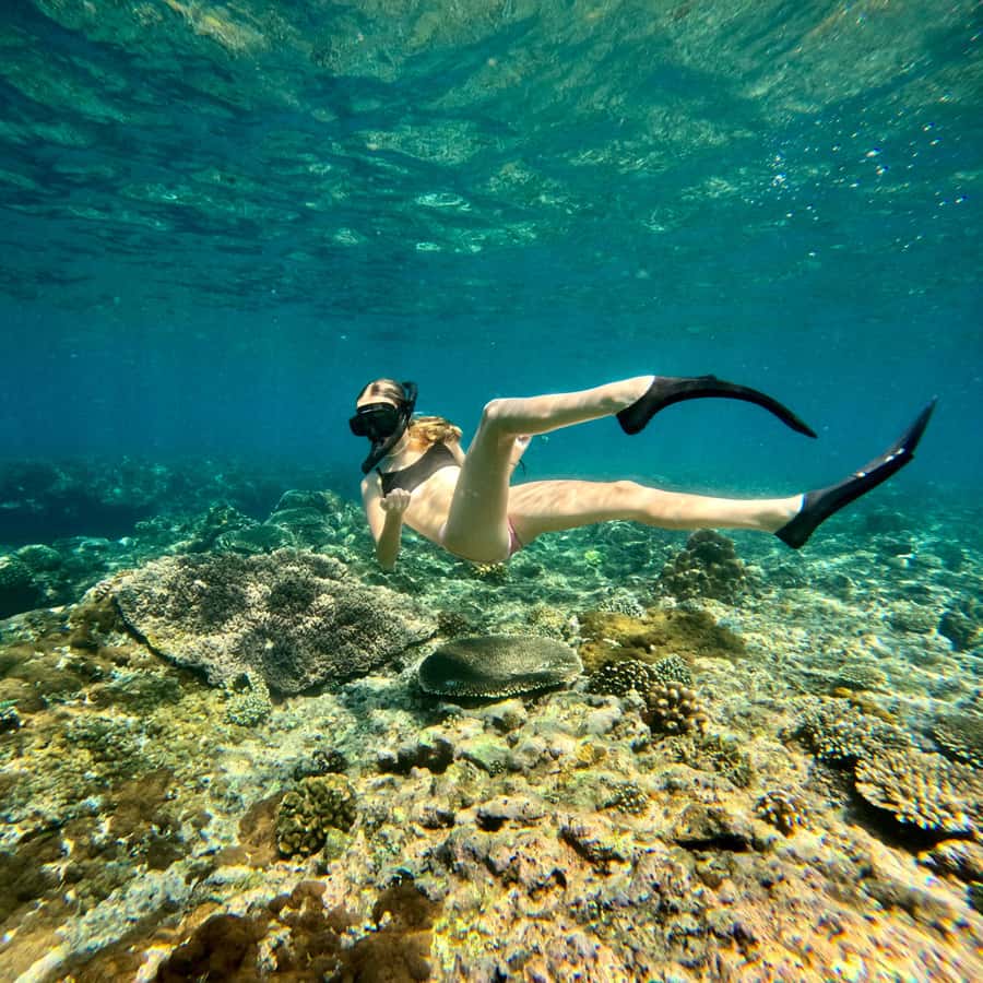 Bali: Snorkelen in de Blue Lagoon 2 lunchplekken en dorpsrondleiding | GetYourGuide