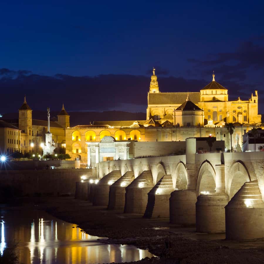 From Málaga: Córdoba Mosque Guided Tour | GetYourGuide