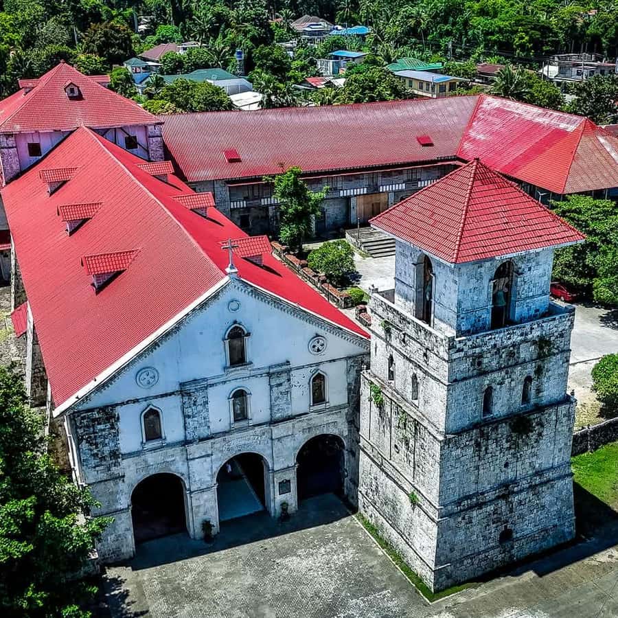 BOHOL: Schokoladenhügel, Schildkröten und Loboc-Fluss Tagestour ...