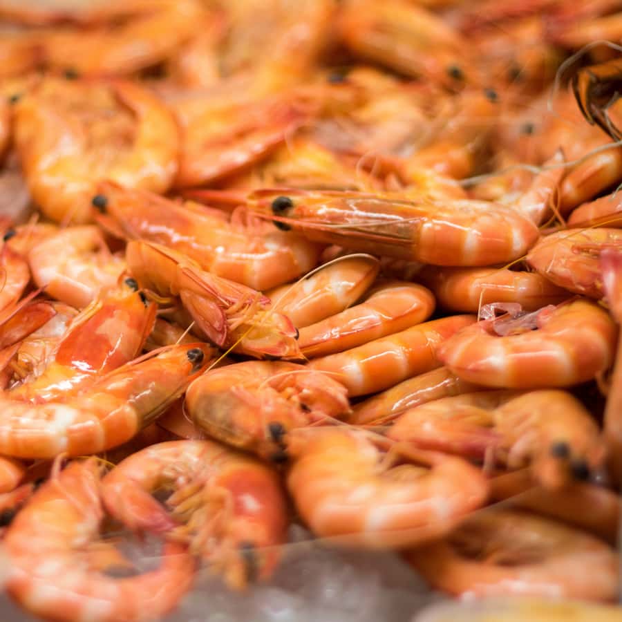 Mooloolaba: Seafood Lunch Cruise | GetYourGuide