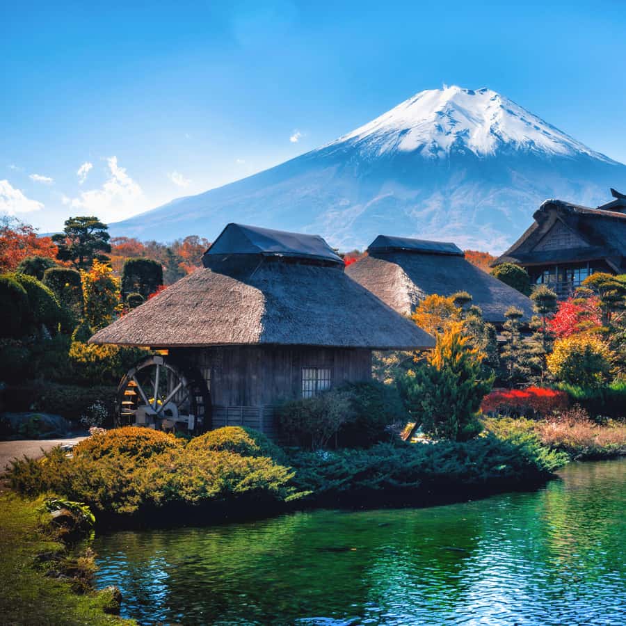 Full-Day Tour to the Picturesque Spots of Mount Fuji | GetYourGuide