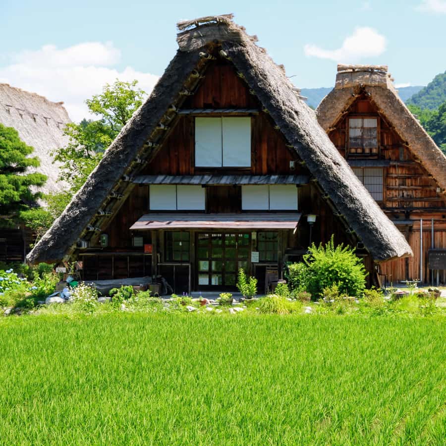 Da Kanazawa a Shirakawago: Tour di mezza giornata | GetYourGuide