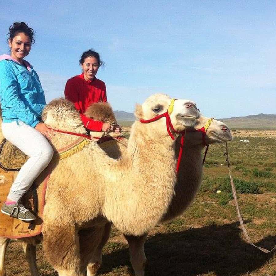 Ulaanbaatar: Semi-Gobi Desert Day Trip & Camel Ride | GetYourGuide