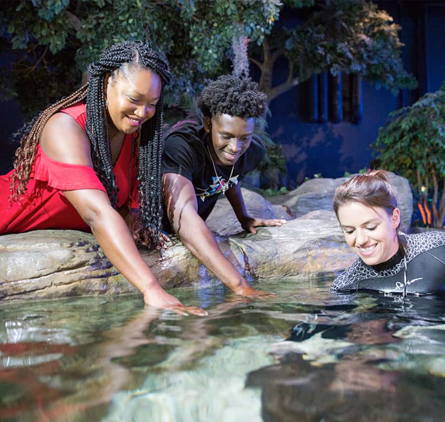 Ripley's Aquarium of Myrtle Beach Entry Ticket | GetYourGuide