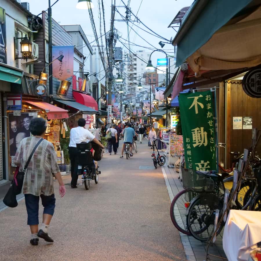 Yanaka District: Historical Walking Tour in Tokyo's Old Town | GetYourGuide
