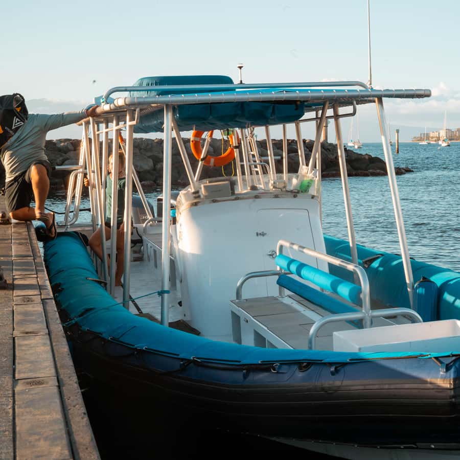 Maui: Semi-Private Eco-Raft Lanai Snorkel & Dolphin Tour | GetYourGuide