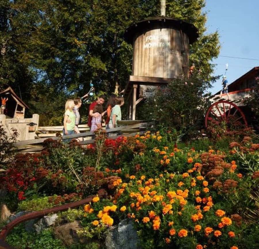 Foxfire Mountain: Hiking & Swinging Bridge Family Adventure | GetYourGuide