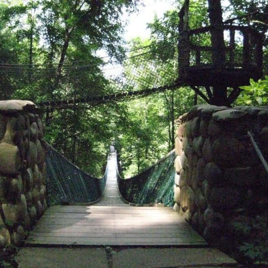 Foxfire Mountain: Hiking & Swinging Bridge Family Adventure | GetYourGuide
