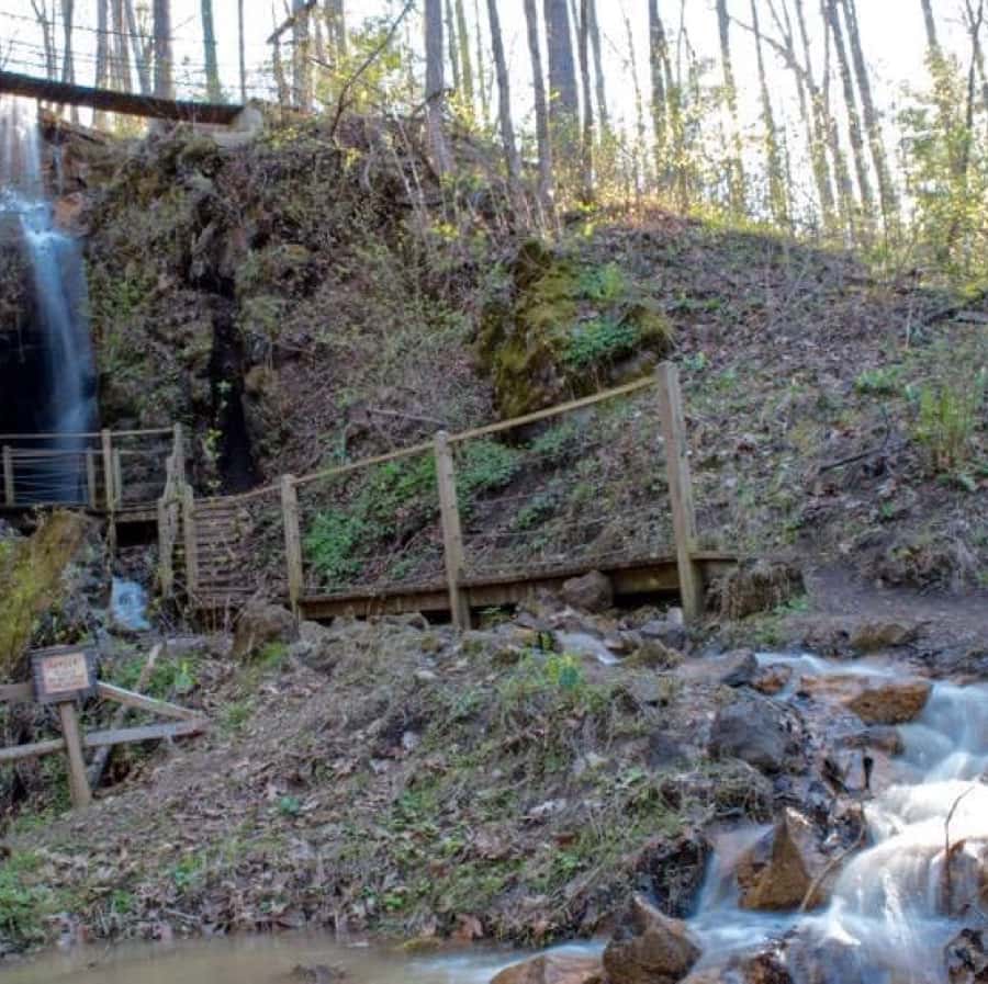 Foxfire Mountain: Hiking & Swinging Bridge Family Adventure | GetYourGuide