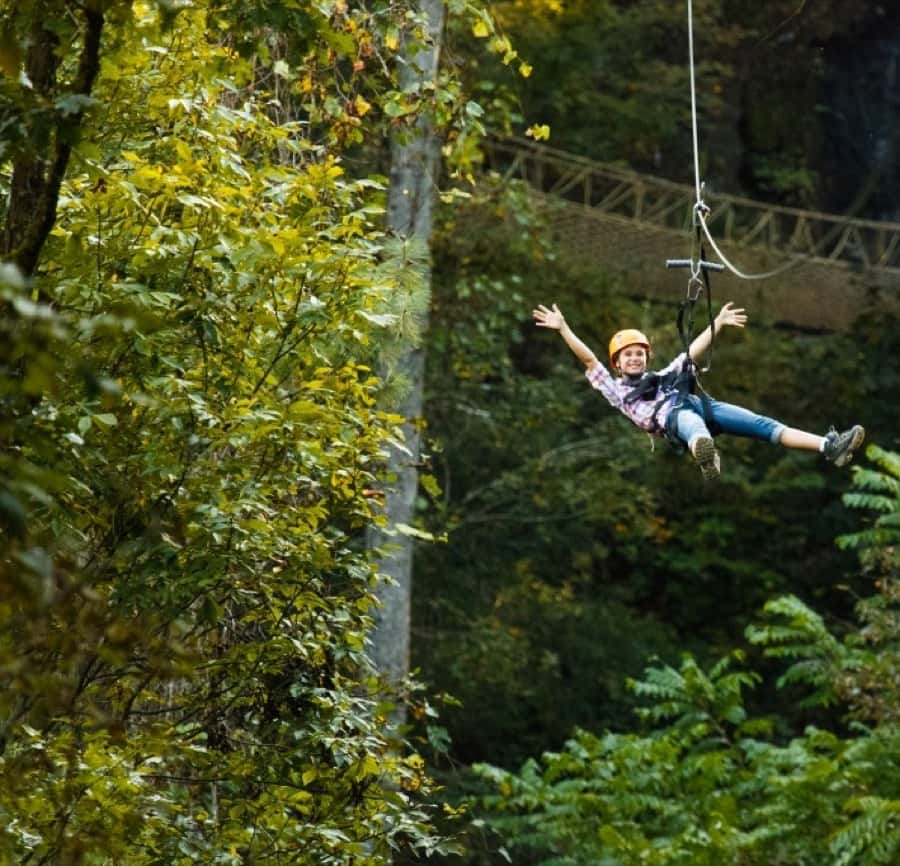 Sevierville: Waterfall Canopy Zip Lining in Smoky Mountains | GetYourGuide