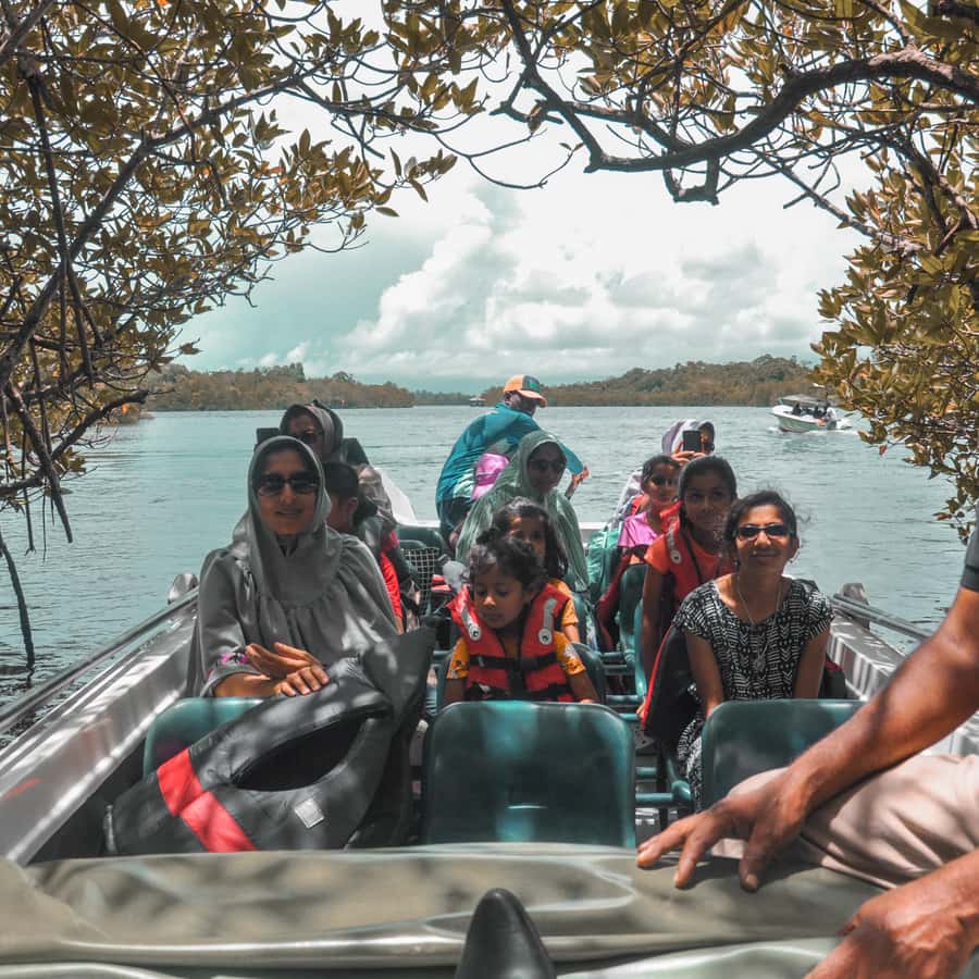 Kalutara: Turtle Hatchery Visit, Boat Safari, and Galle Tour | GetYourGuide