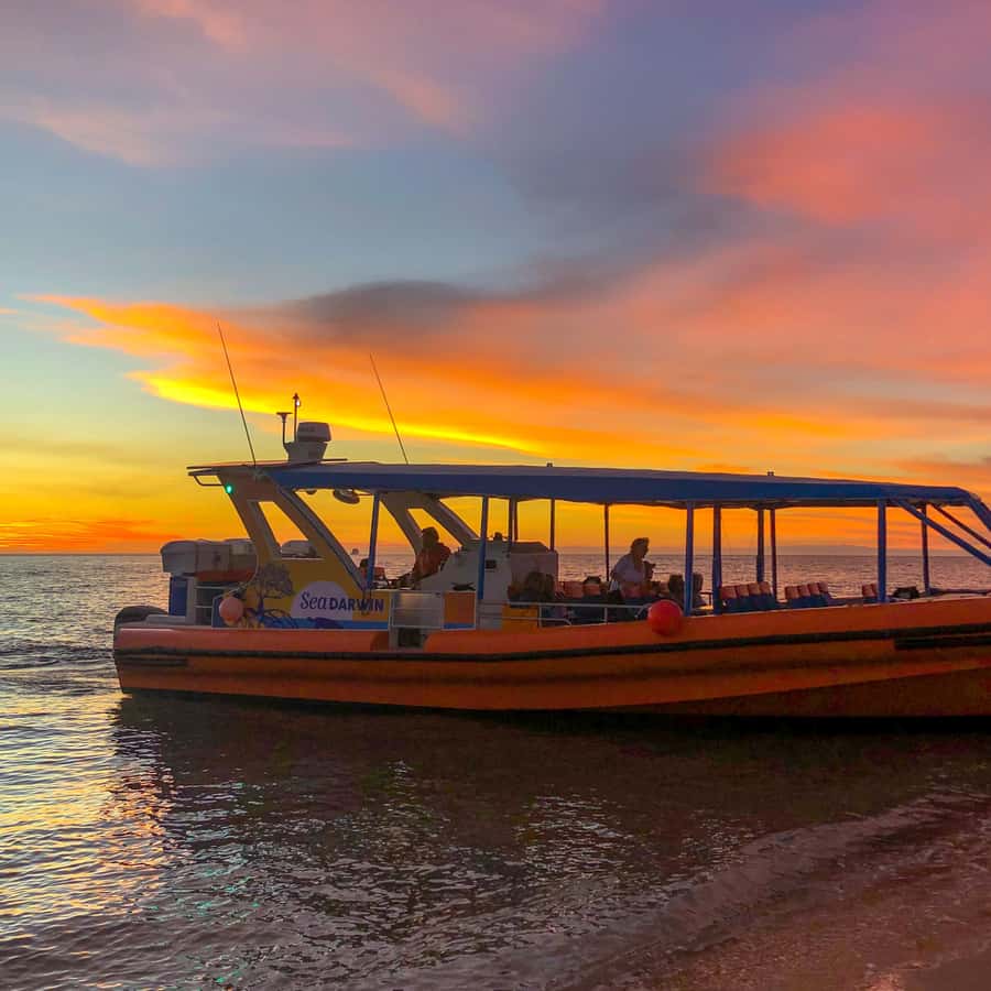 Darwin: Sunset Harbour Cruise with Fish and Chips Dinner | GetYourGuide