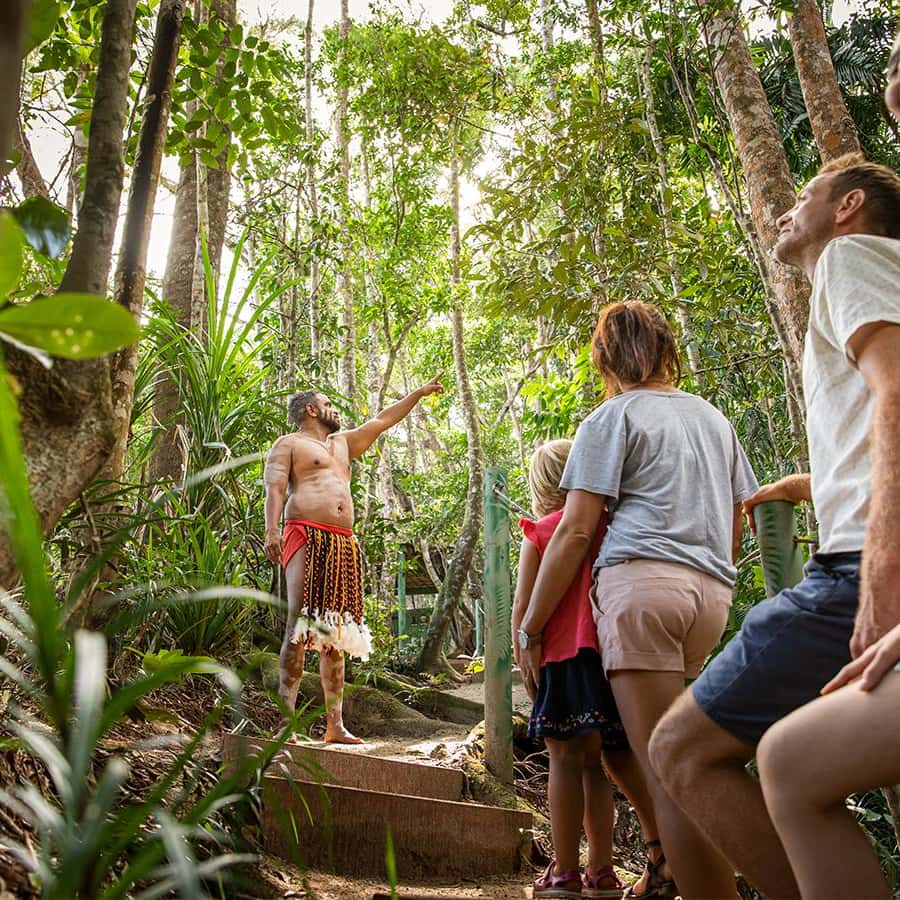 Kuranda Pamagirri Aboriginal Premium Full-Day Tour | GetYourGuide