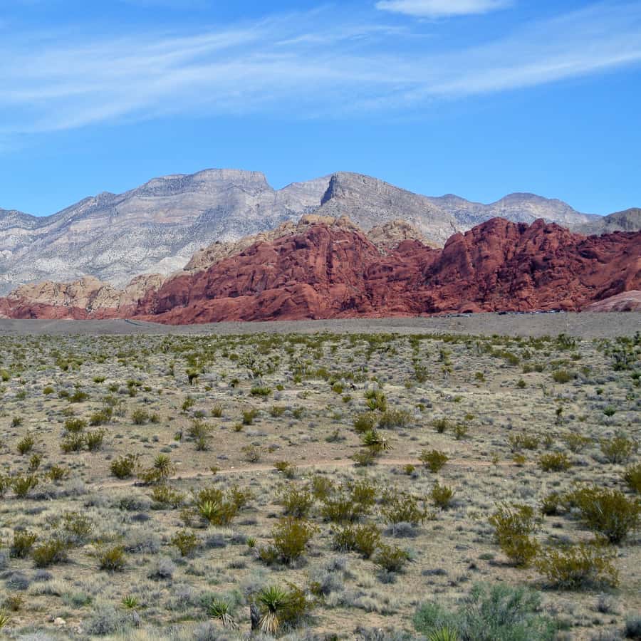 Las Vegas: Mojave, Red Rock Sign and 7 Magic Mountains Tour | GetYourGuide