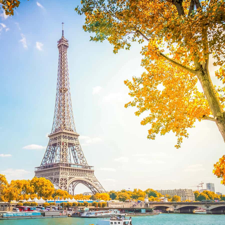 From London: Eiffel Tower, Notre Dame & Louvre Day Tour | GetYourGuide