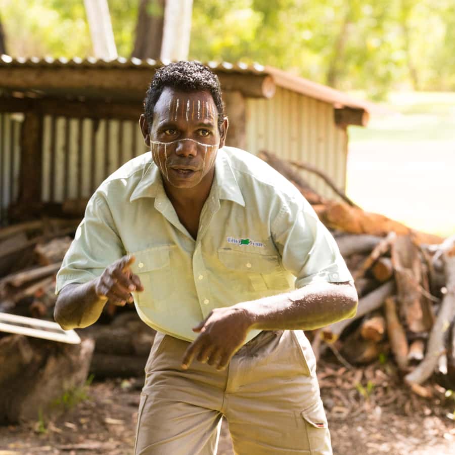 From Darwin: Tiwi Islands Aboriginal Culture Tour with Lunch | GetYourGuide