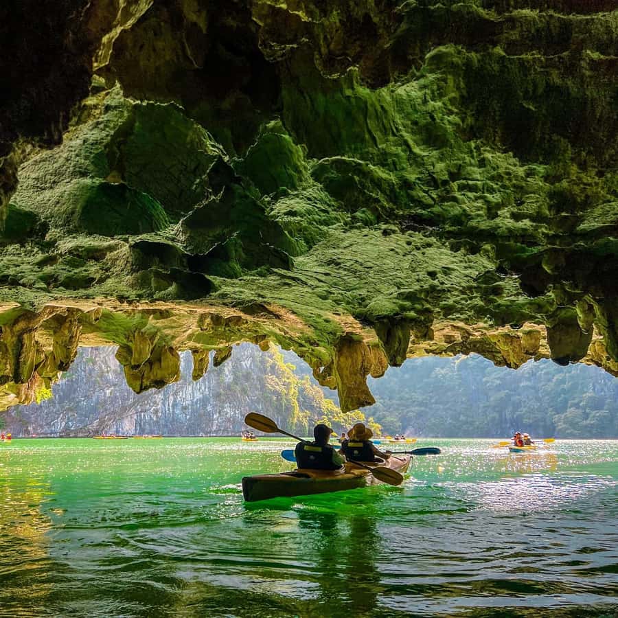 Cat Ba: Lan Ha en Ha Long Bay Boottocht met kajakken, grotten ...