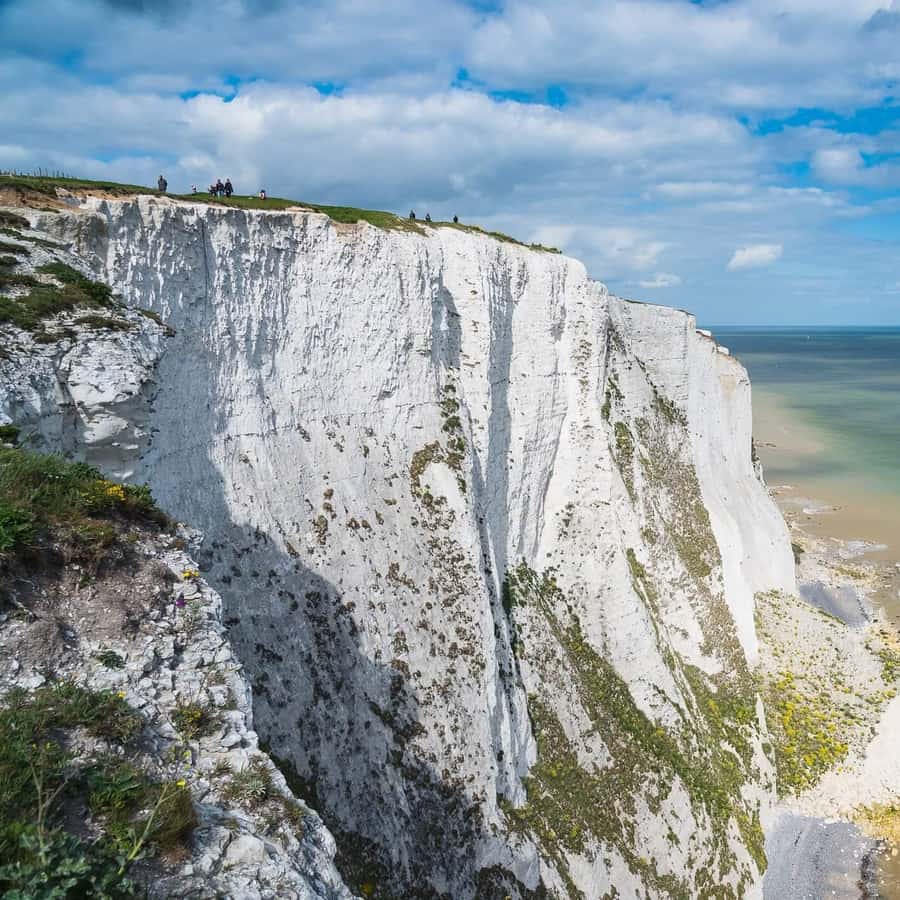 From London: Canterbury & White Cliffs of Dover Tour | GetYourGuide