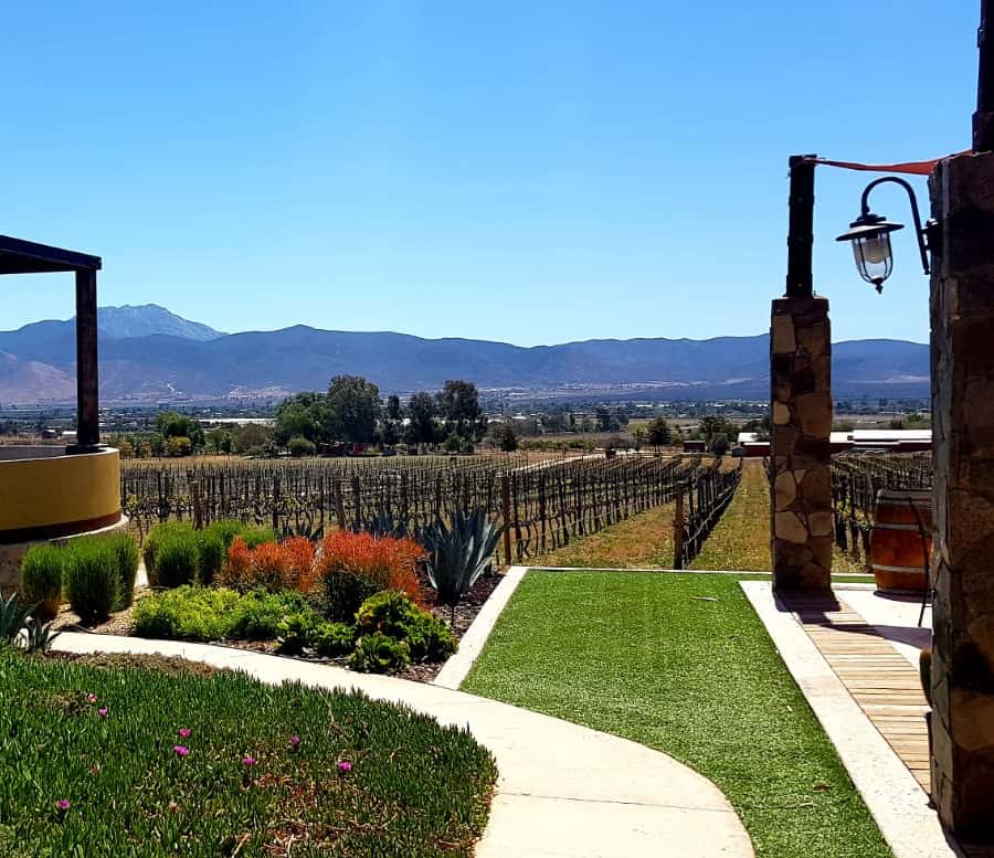 From Tijuana: Valle de Guadalupe Private Winery Tour | GetYourGuide