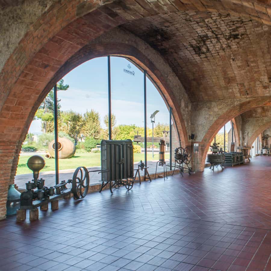 Barcelona: Casa Codorníu Guided Tour with Cava Tastings | GetYourGuide