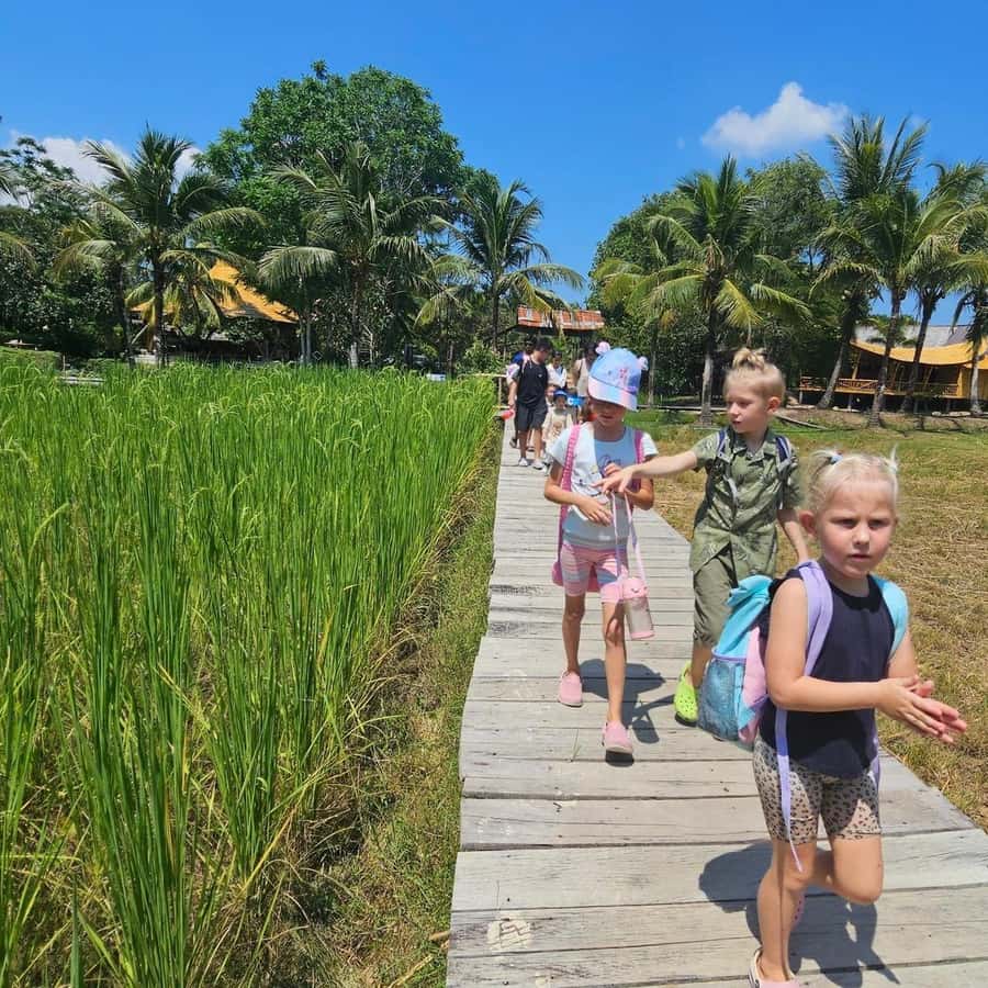 Old Phuket Farm Ticket - Countryside Local Life Culture | GetYourGuide