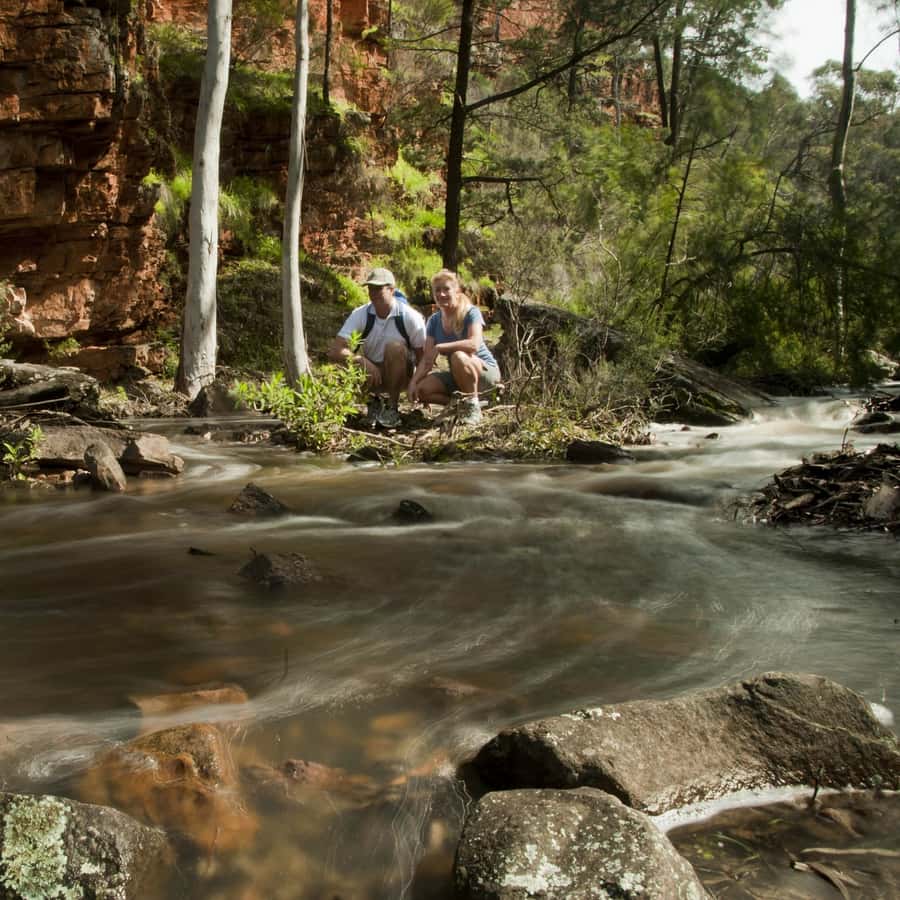 Flinders Ranges & Outback: 3-Day 4WD Tour from Adelaide | GetYourGuide