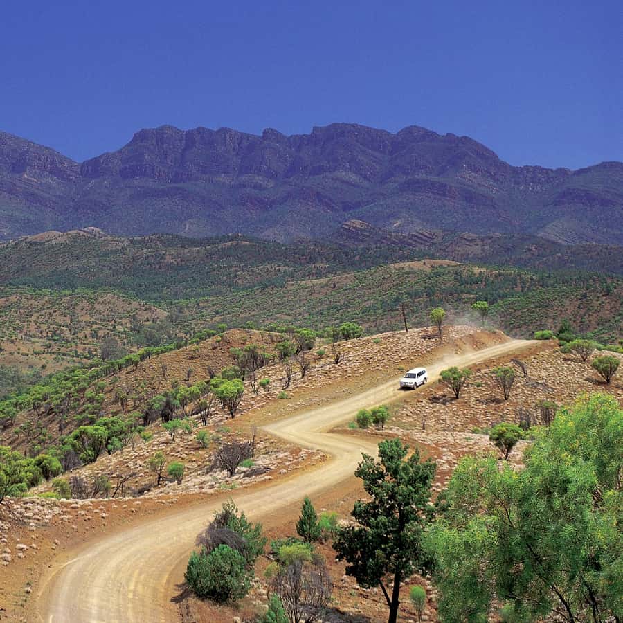 Flinders Ranges & Outback: 3-Day 4WD Tour from Adelaide | GetYourGuide