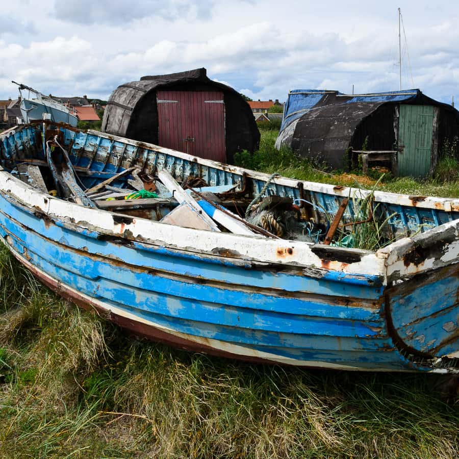 Northumberland: Full-Day Tour of Vera Filming Locations | GetYourGuide