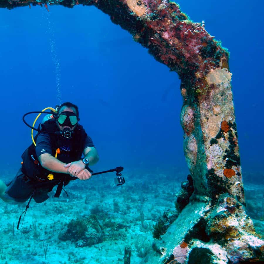 Underwater Museum Musa : SCUBA DIVING FOR BEGINNERS | GetYourGuide