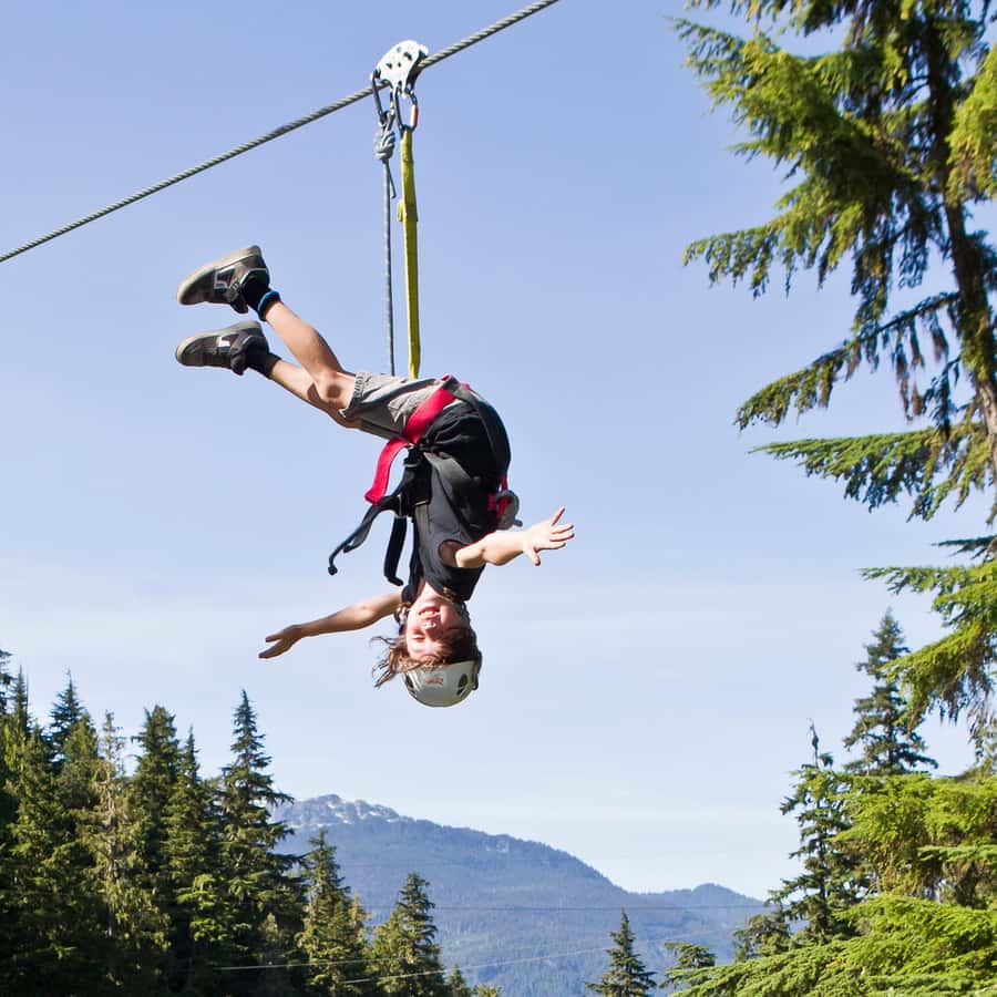 Whistler Zipline Experience: Ziptrek Bear Tour | GetYourGuide