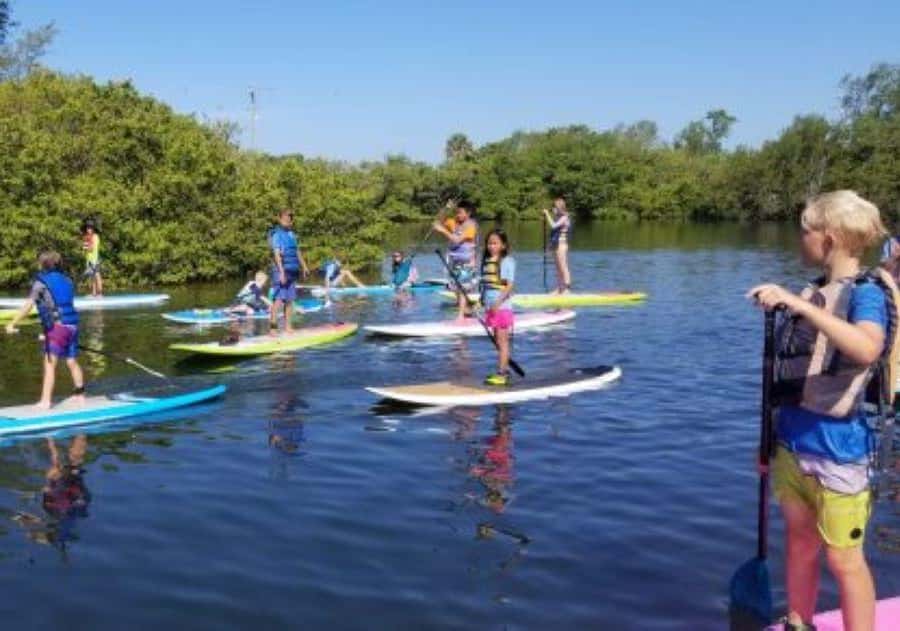 Siesta Key: Mangrove Kayak or Paddleboard Tour | GetYourGuide
