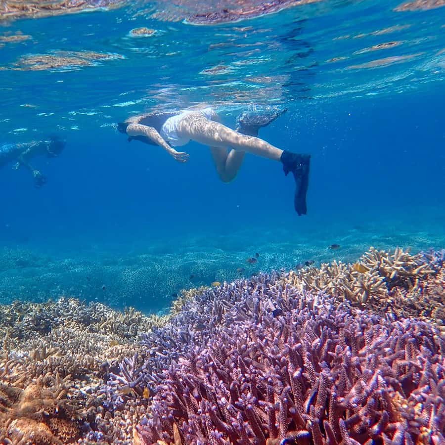 Ishigaki: Phantom Island Snorkeling and taketomi sightseeing | GetYourGuide