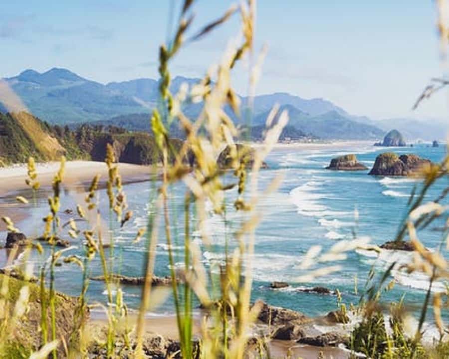 From Portland: Oregon Coast Tour | GetYourGuide