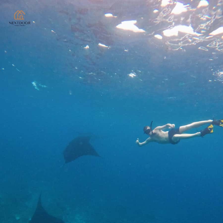 Labuan Bajo: Komodo and Pink Beach 2-Day Shared Boat Tour | GetYourGuide