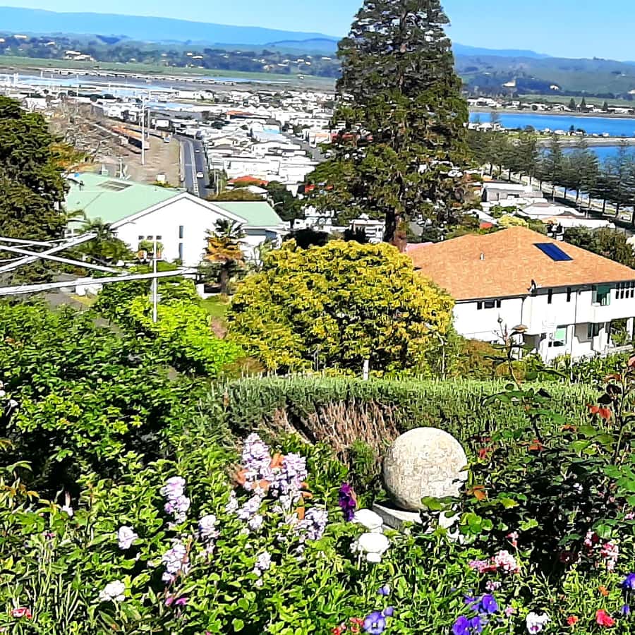 Napier: Art-Deco + Te Mata Peak+ Garden Walk + Wine Tasting | GetYourGuide