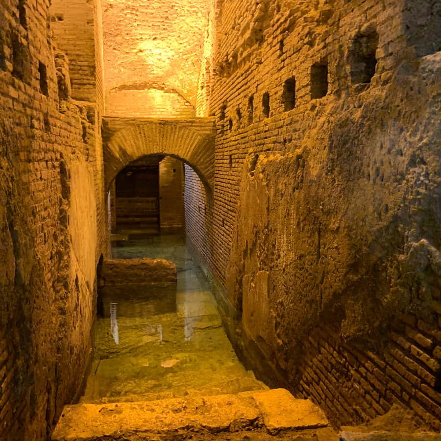 Rome: Trevi Fountain Undergound Domus Guided Tour | GetYourGuide