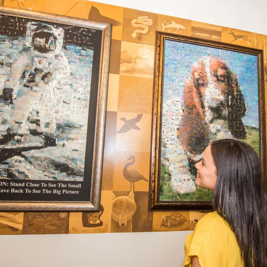 Orlando: WonderWorks Nighttime Entry Ticket | GetYourGuide