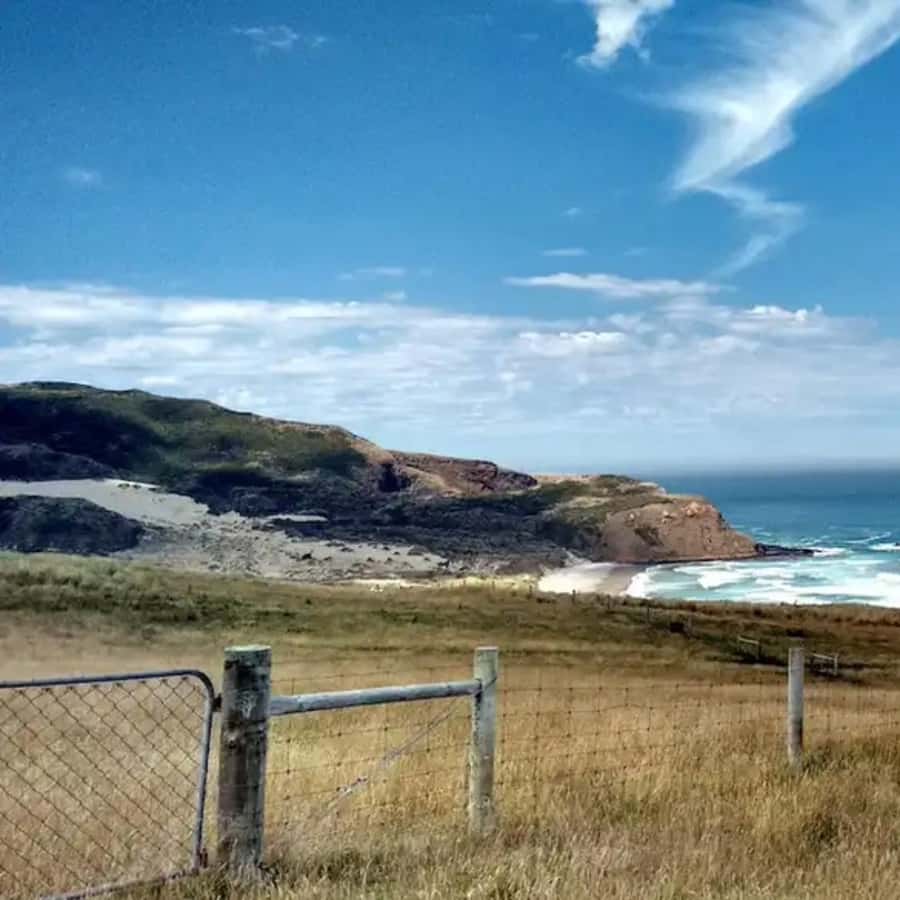 Dunedin City & Otago Peninsula Scenery Day Tour | GetYourGuide