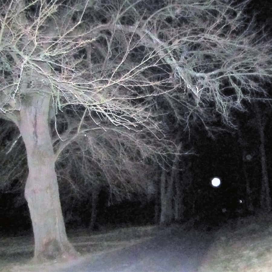 Gettysburg: Ghost Hunt Tour with Ghost Hunting Equipment | GetYourGuide