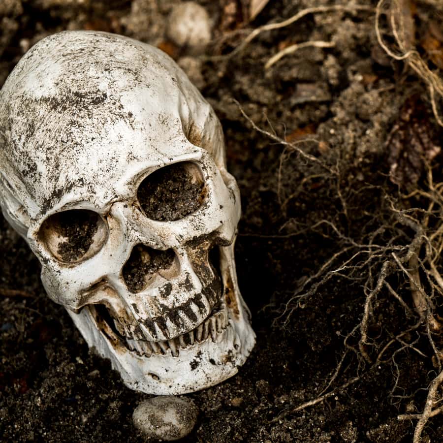 Gettysburg: Ghost Hunt Tour with Ghost Hunting Equipment | GetYourGuide